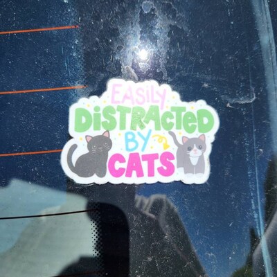 Cat Notepads Set of 4, Cute Cat Stationery Set, Notepad for Teacher ...