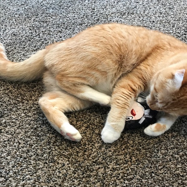 BLT Brave Little Toaster and Friends Softie Plush Doll Set Cat Toy or ...