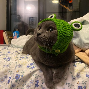 Green Knitted Yarn Frog Hat for Cat or Samll Animal Small and | Etsy