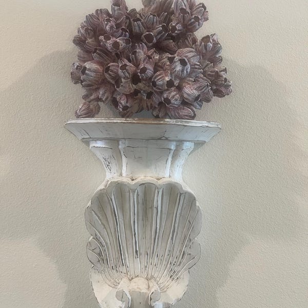 Dimensional Cowrie Seashell Minimalist Wall Art Abstract Framed 32x 10 ...