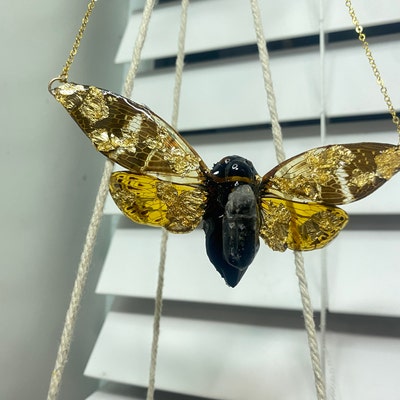 Papilio Dardanus FLYING HANDKERCHIEF BUTTERFLY Real - Etsy