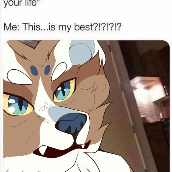 Custom Furry Meme Drawover and Cursed Discord Emote Commissions - Etsy