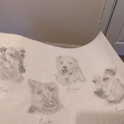 Custom Dog Drawing From Your Photo, Custom Dog Sketch From Your Photo ...