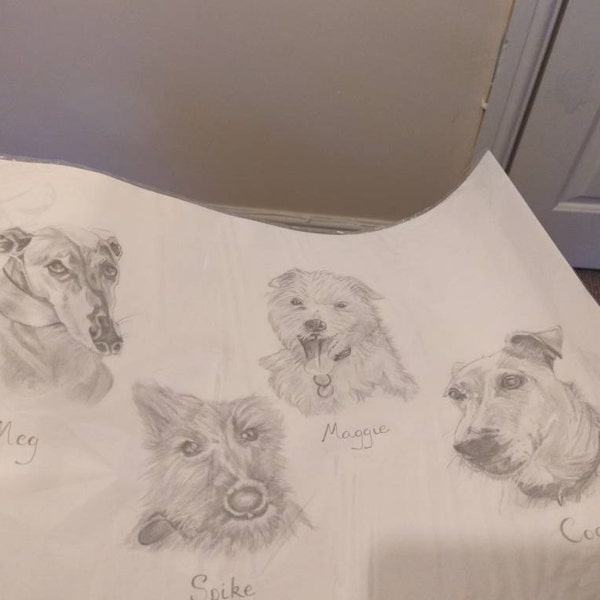 Custom Dog Drawing From Your Photo, Custom Dog Sketch From Your Photo ...