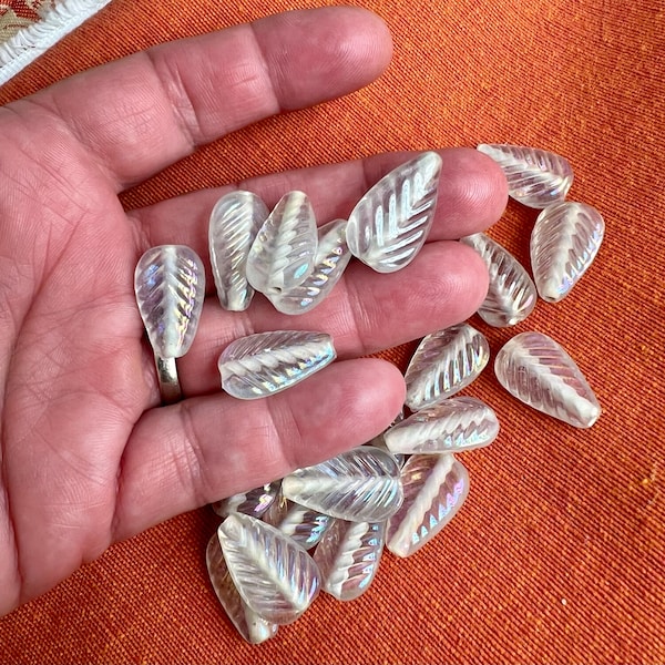 SUPPLY: 1 Cup of Natural Holey Sea Shells Oddities / White Shells ...