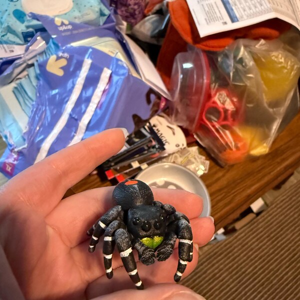 CUSTOM Jumping Spider Figure - Based on Your Photos - Hand Painted ...