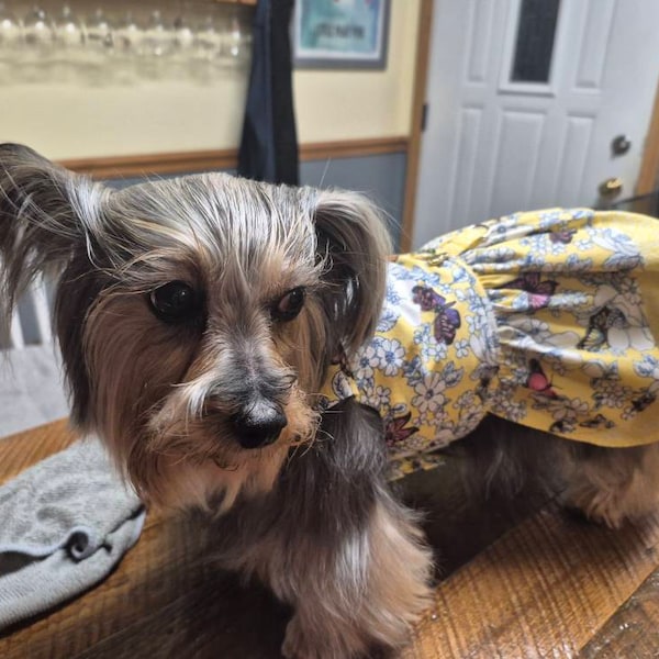 Dog Snuggle Bed Sewing Pattern and Tutorial PDF - Dog Sleeping Sack ...