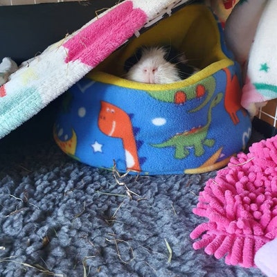 LARGE Piggie Pod Guinea Pig Bed CUSTOM ORDER - Etsy UK