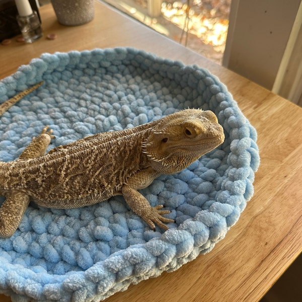 Small Reptile Beds for Leopard Geckos - Etsy