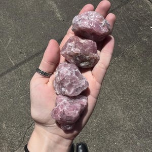 Tree Ring, Forest Ring, Pine Tree Ring, Forest Dweller, Forest Jewelry ...