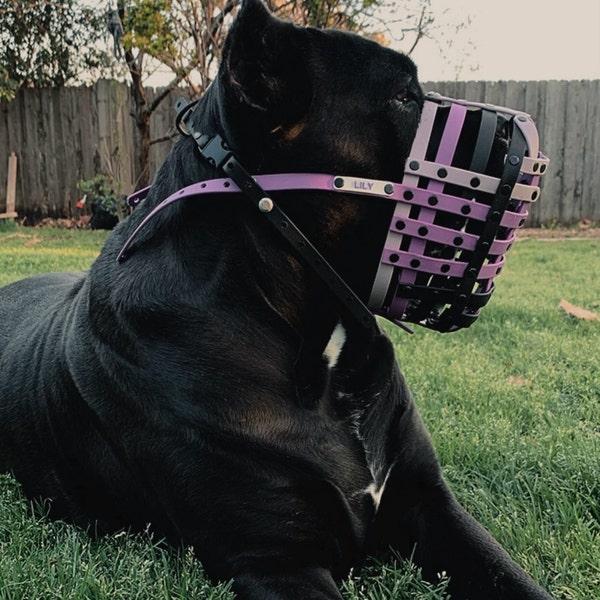 Custom Biothane Dog Muzzle – Personalized Fit With Forehead Strap - Etsy