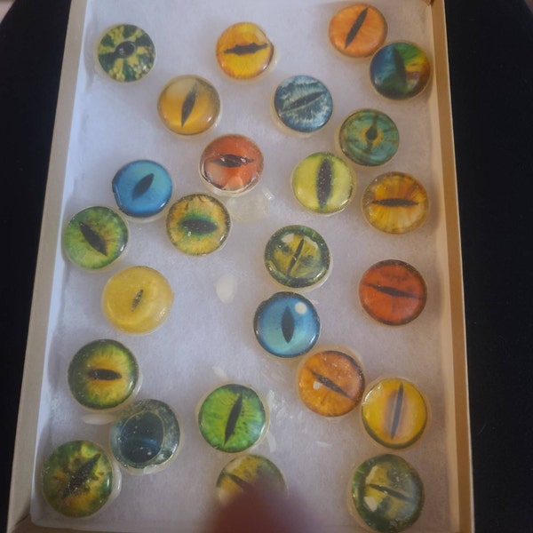 3D Sea Shell Lollipops 6-piece Set by I Want Candy! - Etsy