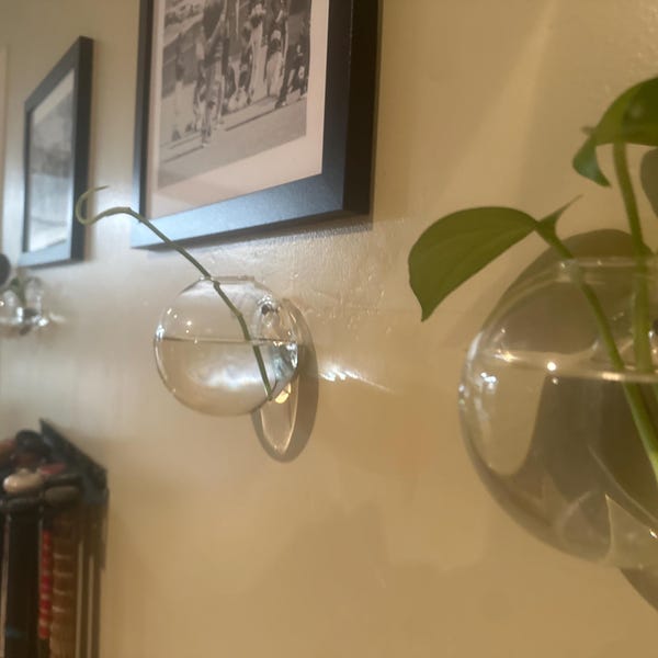 Hanging Glass Wall Planter Propagation Terrarium Vase Quick Hook - Etsy