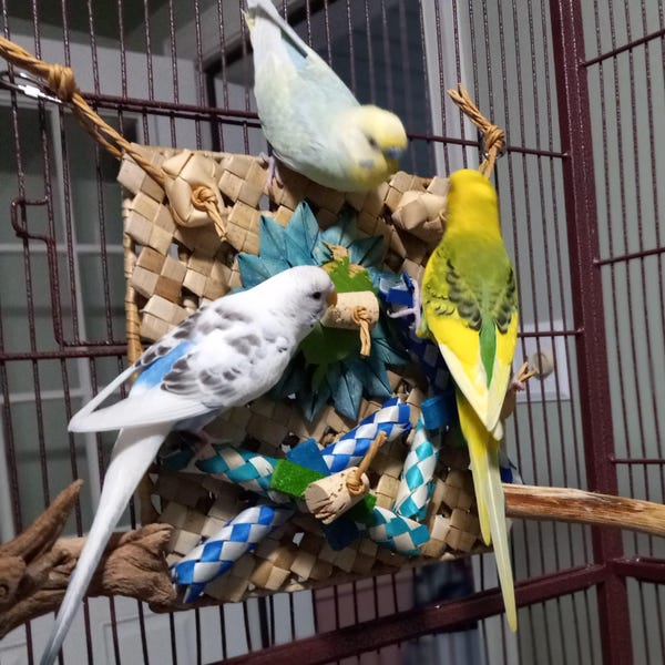 Power Poof Small Bird Toy - Etsy