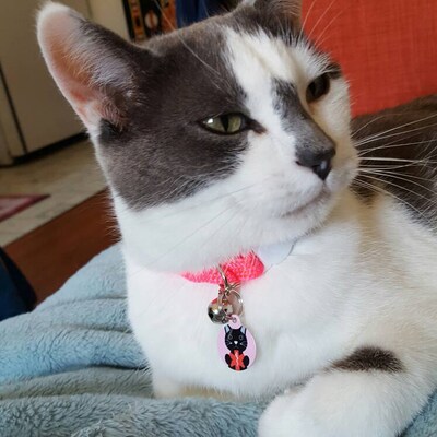 Medical ID Tag Black Kitty Cat Medical Alert - Etsy