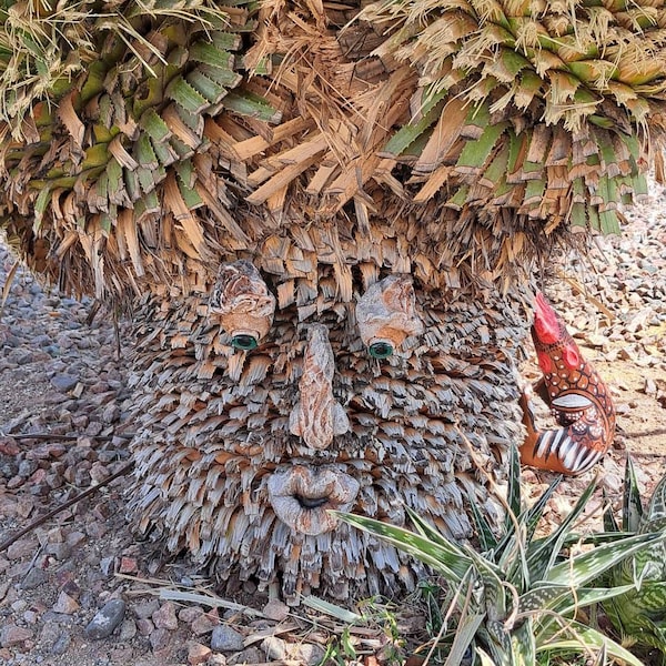 Forrest Stump - Concrete Tree Face Whimsical Gardeners Gift Forest Face ...