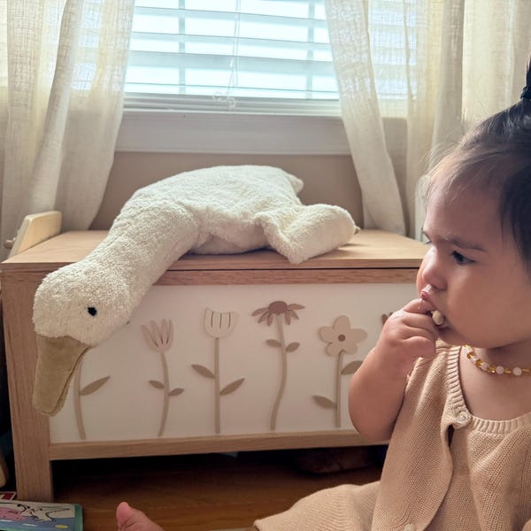 Blooming Cacti Toy Chest With Name - Toy Storage - Nursery Decor - 1st ...