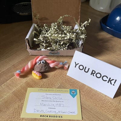 Rock Buddy BOY, Gag Gift, Rock Buddies, Funny Gift, Rock Pet, Anonymous ...