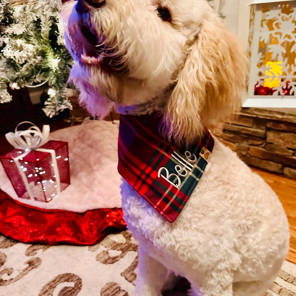 Dog Bandana Hot Dog Bandana Barbecue Dog Grill Master Gift Memorial Day ...