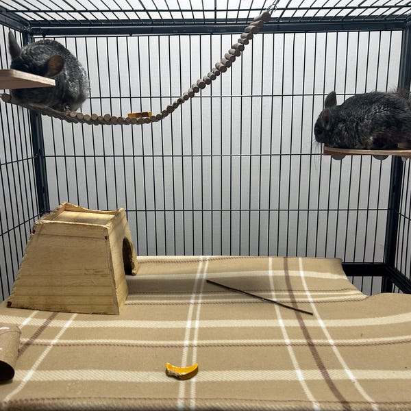 Ramp Covers ONLY for Wire Ramps Fleece Ramp Covers Nonslip off Cover ...