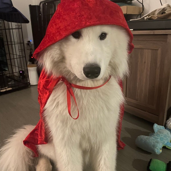 DOG Cape With Hood - Etsy