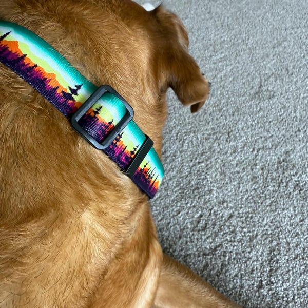 Treeline Dog Collar - Trees | Forest | Nature | Outdoors - Etsy