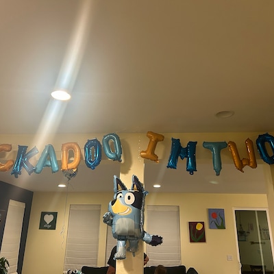 Wackadoo I'm Two Bluey Balloon Banner Bluey Themed Birthday Decorations ...