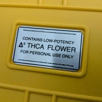 Free GUY Name Tag Non Playable Character Movie Cosplay Name Badge ...