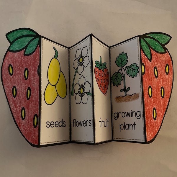 Animal Classification Sort Cut and Paste Lift the Flap Book Activity ...