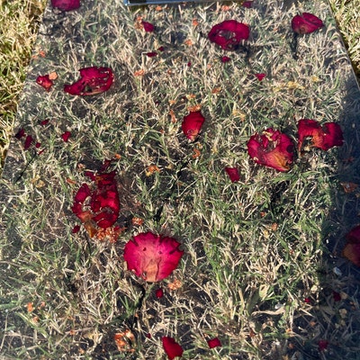 Post-it Notes Elegant Pastel Floral Sticky Notes Unique Stationery Gift ...