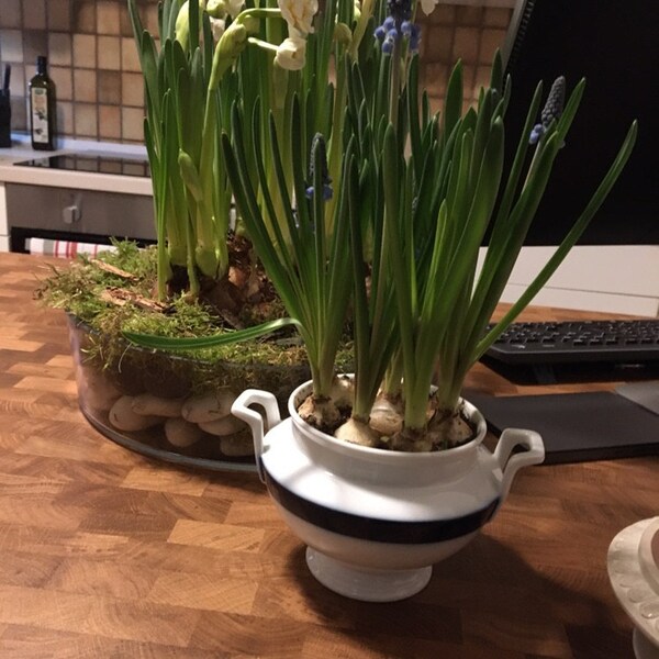 Modernist Wrought Iron Candlestick, Mid-century Avant-garde Metal ...