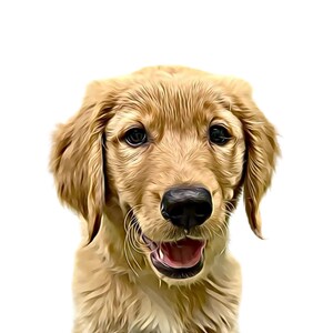 Custom Pet Portraits Using Pet Photo Personalized Digital Dog Portraits ...