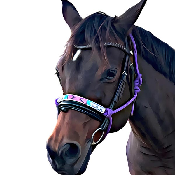 Horse Physical Assessment Form | Horse Bodywork | Equine Form | Horse ...