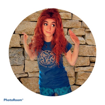 Disneybound Brave Merida Family Crest Tshirt Adults and Kids - Etsy