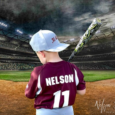 Baseball Stadium, Team, Digital Background, Digital Backdrop, Digital ...