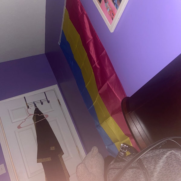 Pansexual Pride Flag 3x5 Feet Etsy 8137