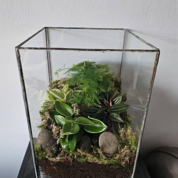 Large Closed Terrarium With Removable Top - Etsy UK