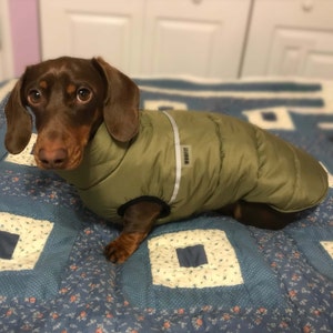 Dogs Clothes Warm Jacket for Beagle Warm Jacket Clothes for | Etsy