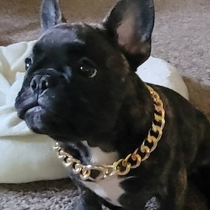 Chain Dog Collar, Large Cuban Link Dog Necklace, Lightweight Dog ...