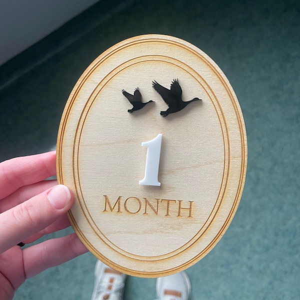 Duck Monthly Milestone Markers, Monthly Photo Sign, Mallard Milestone ...