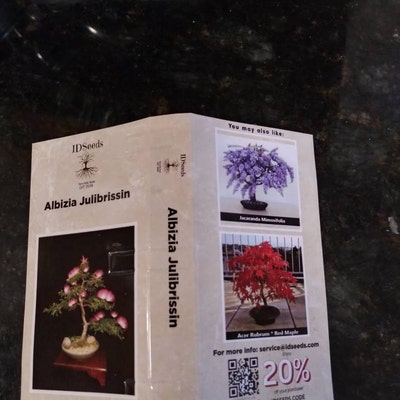 Prairie Smoke 40 Seeds Erythrocoma Triflora Seed Geum - Etsy