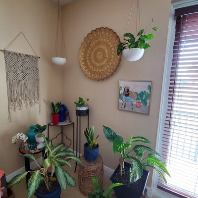 Plant Lady, Feminist Poster, Bohemian Decor, Fashion Wall Art, Boss ...