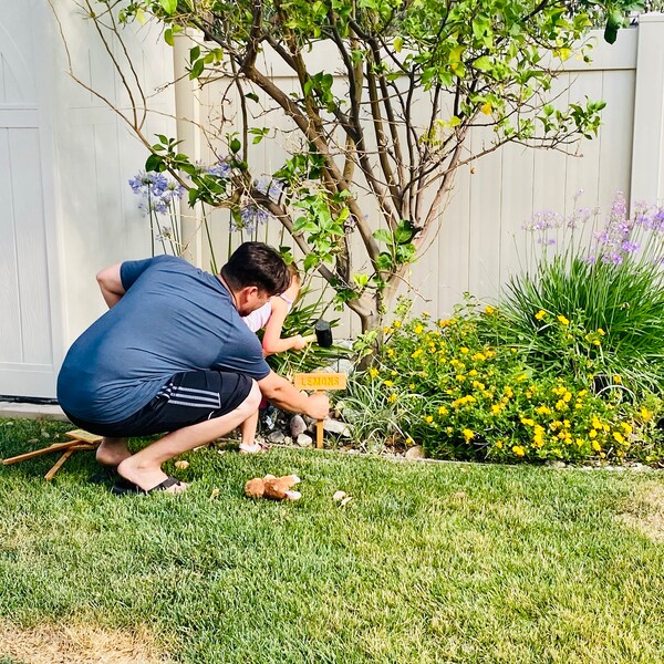 LEMONS Rustic Tree Sign, Hand Routed, Citrus Tree Marker, Yellow Garden ...