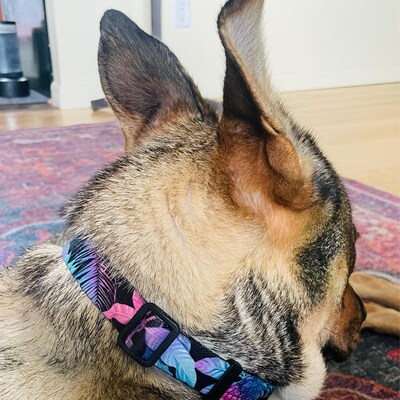 Treeline Dog Collar Trees Forest Nature Outdoors - Etsy