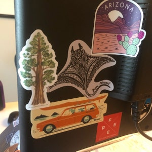 Sequoia Tree Die-cut Window Decal - Etsy