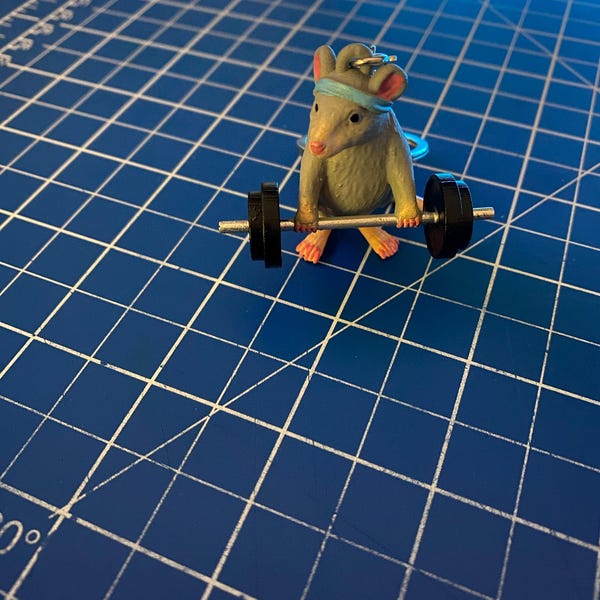 Cockroach Gym Sticker-fitness Sticker Weightlifting Sticker Funny ...