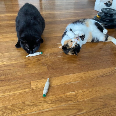 Cat Toys Felt Catnip Joints Set of 3 Available in - Etsy