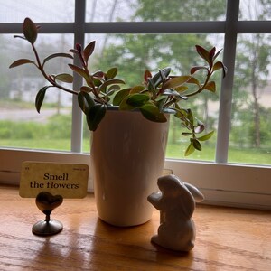 Mini Happy May Day Flash Cards Set of 21 2.5 X - Etsy