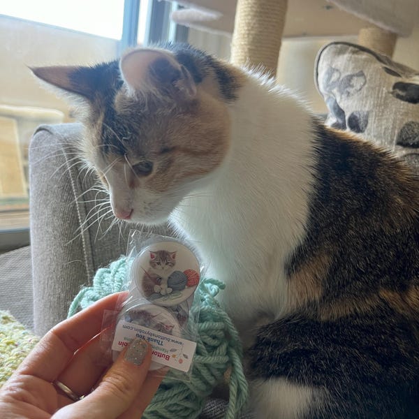 7 Honey Bee Buttons. Assorted Bee and Honey Themed Buttons. - Etsy Canada