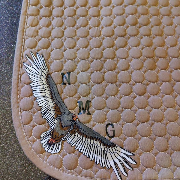 Turkey Vulture Buzzard Bird Iron on Patch Cathartes Aura - Etsy